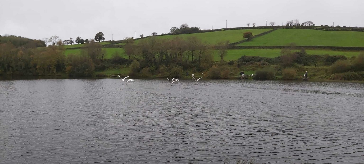 Donaldson's trout fishery – Lake Fishery & Campsite